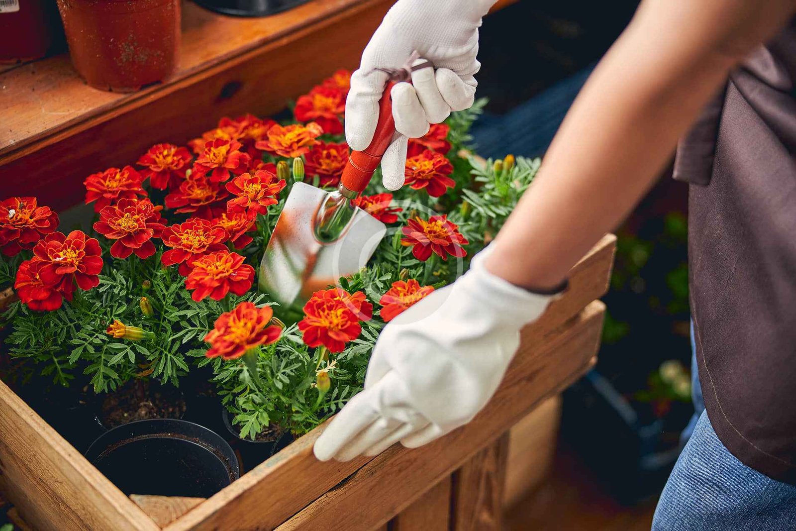 Transforming Spaces Through Landscape Design Alans Garden